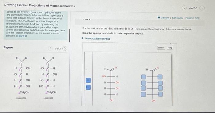 Solved Drawing Fischer Projections of Monosaccharides bonds | Chegg.com