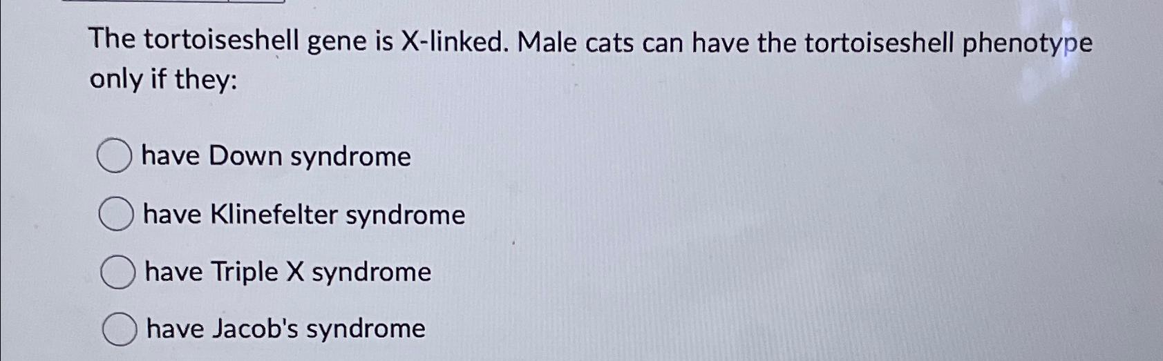 Solved The tortoiseshell gene is x-linked. Male cats can | Chegg.com