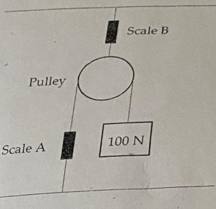 Solved Spring scale A is attached to the floor and a rope | Chegg.com
