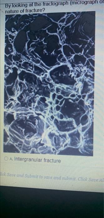 Solved By looking at the tractograph (micrograph of the | Chegg.com