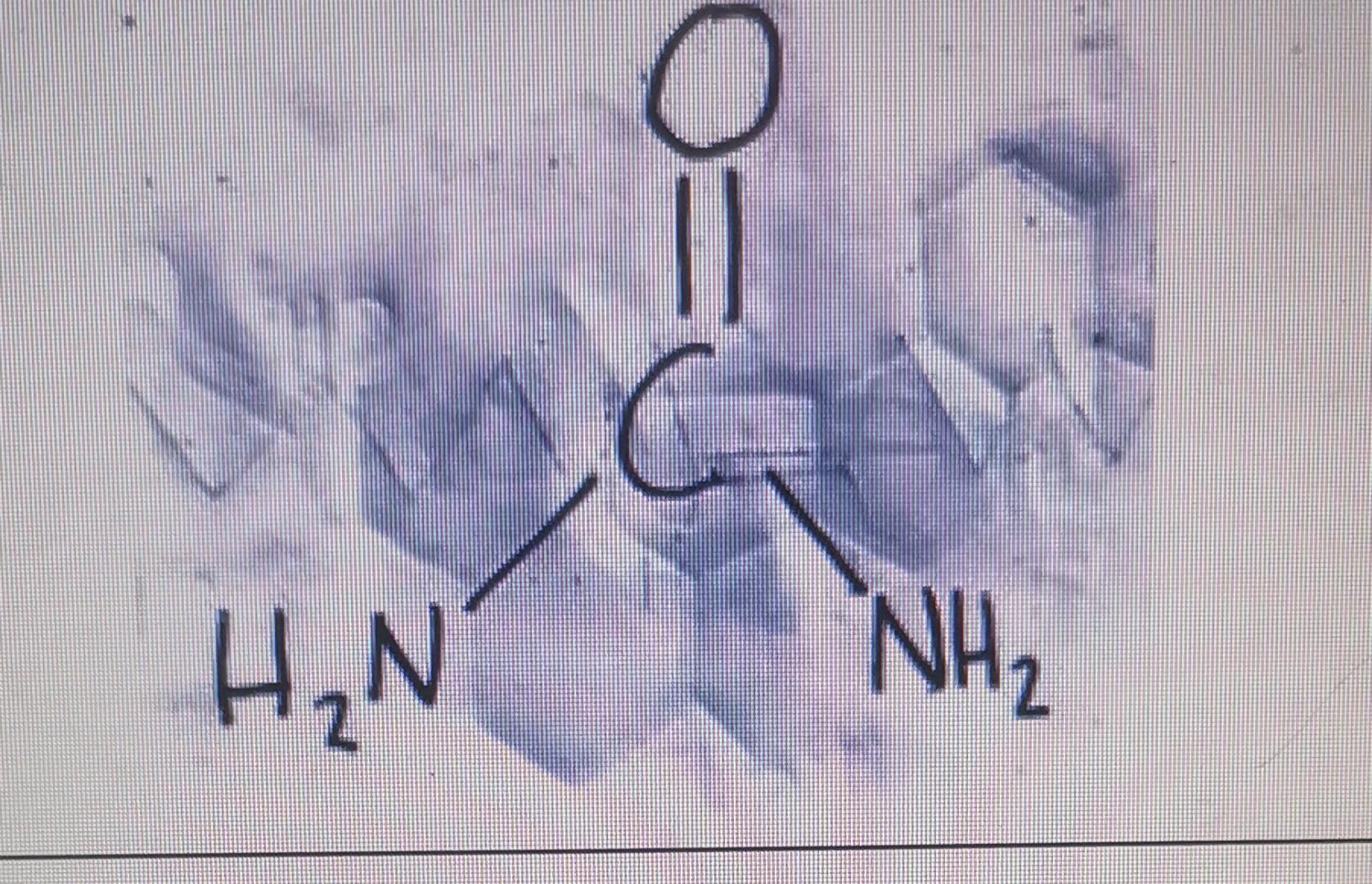 Solved can you encircle and label the functional groups of | Chegg.com