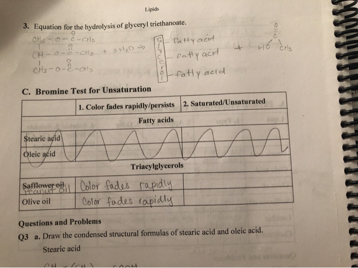 Solved Lipids 3. Equation for the hydrolysis of glyceryl | Chegg.com