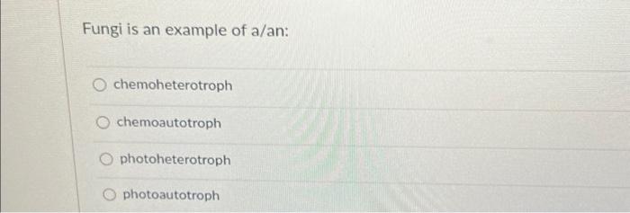 Solved Fungi is an example of a/an: O chemoheterotroph O | Chegg.com