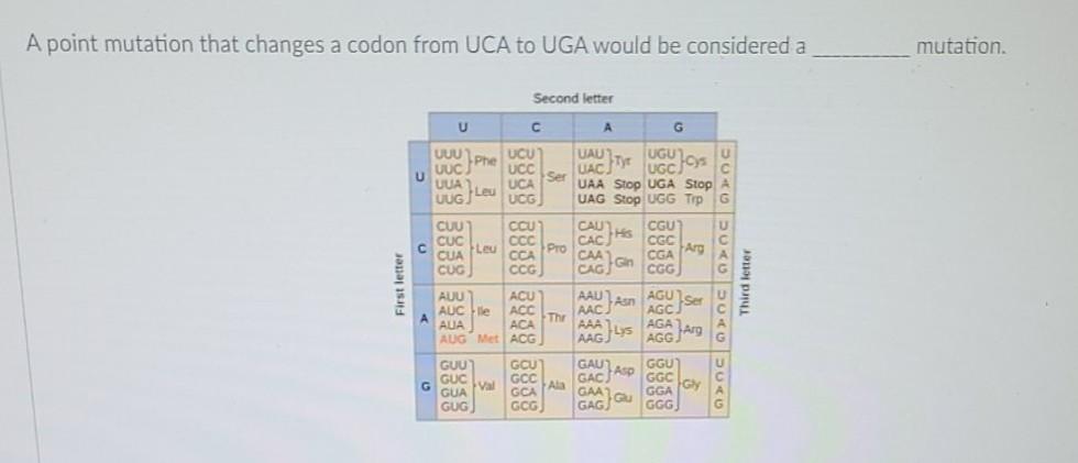 Solved A point mutation that changes a codon from UCA to UGA | Chegg.com