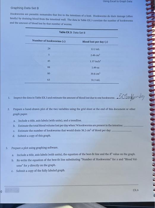Solved 0 3. 1. Graphing Data Set B Hookworms are parasitic | Chegg.com