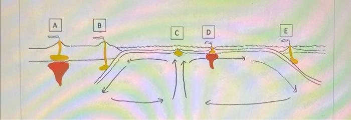 Solved Match the magma/lava composition with the igneous | Chegg.com