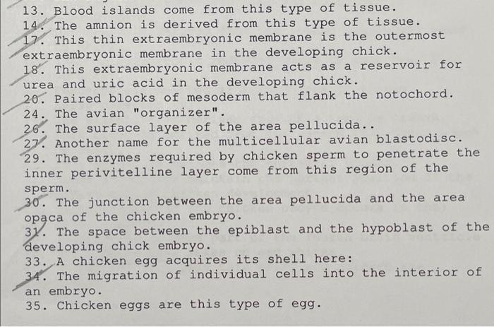 Solved 13. Blood islands come from this type of tissue. 14. | Chegg.com