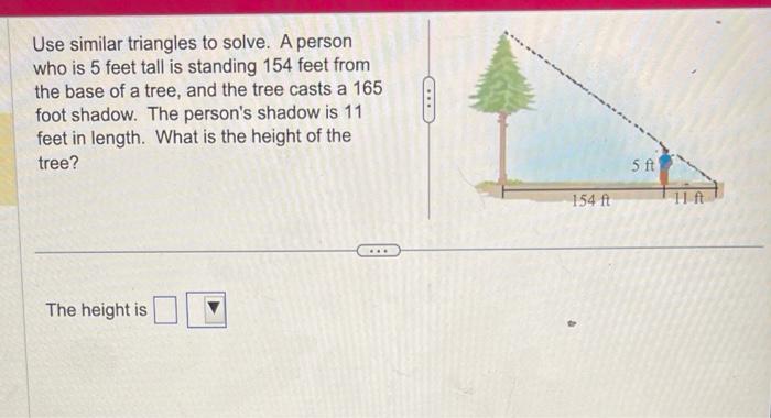 Solved Use similar triangles to solve. A person who is 5 | Chegg.com