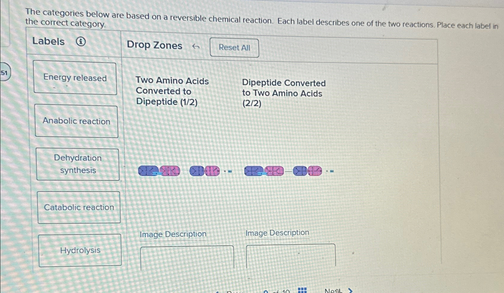 Solved The categories below are based on a reversible | Chegg.com