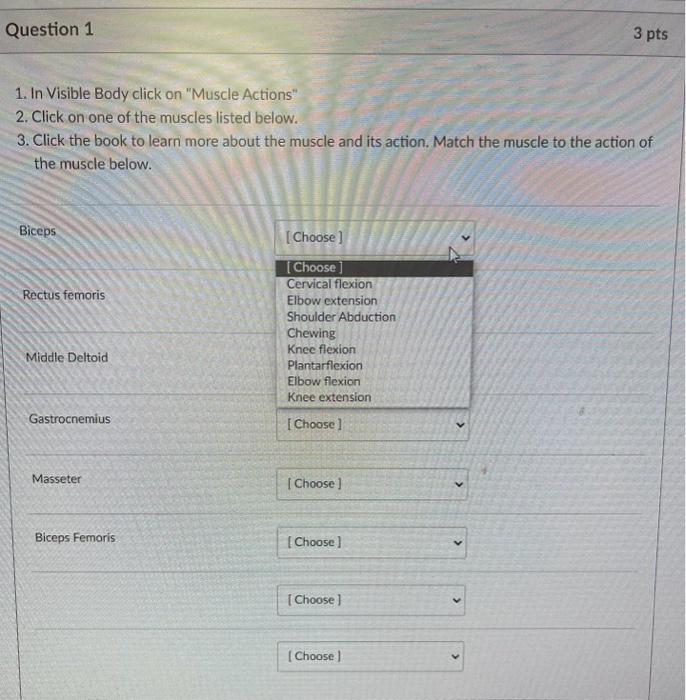 Solved 1. In Visible Body click on "Muscle Actions" 2. Click | Chegg.com