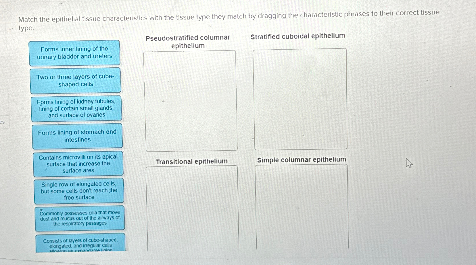 Solved Match the epithelial tissue characteristics with the | Chegg.com