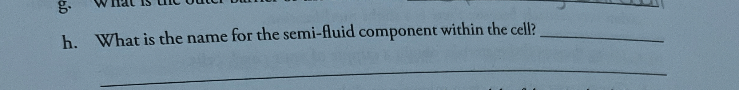 Solved h. ﻿What is the name for the semi-fluid component | Chegg.com