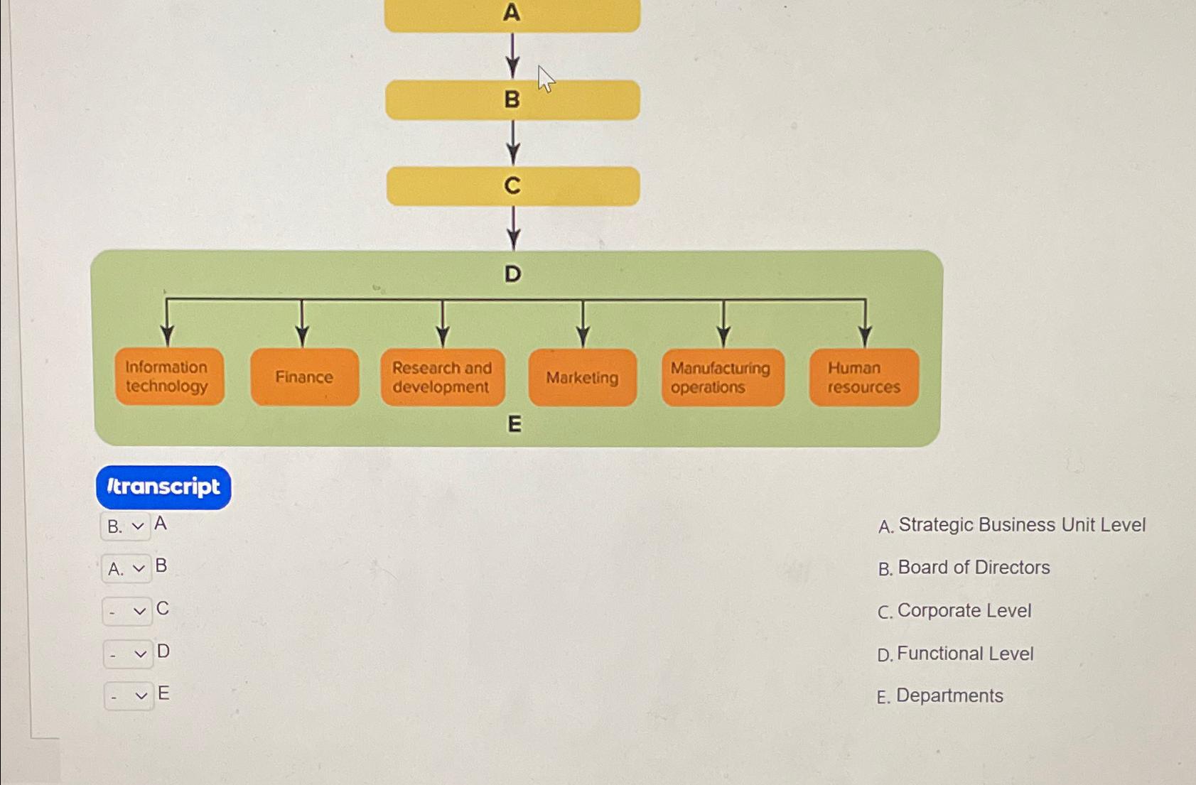 Solved ItranscriptA. ﻿Strategic Business Unit LevelB. ﻿Board | Chegg.com