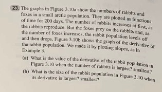 Solved (b) What is the size of the rabbit population in | Chegg.com