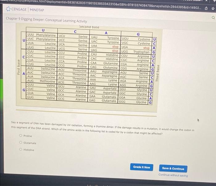Solved CENGAGE MINDTAP Chapter 9 Digging Deeper: Conceptual | Chegg.com