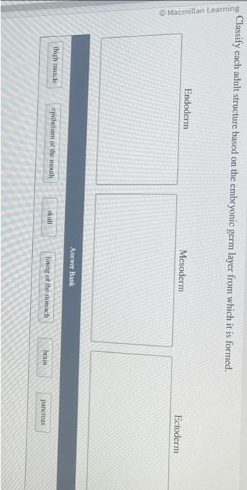 Solved 14Classify the characteristics of the ectoderm, | Chegg.com