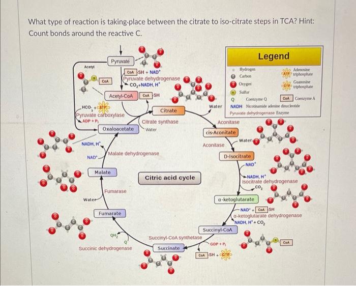 Solved What type of reaction is taking.place between the | Chegg.com