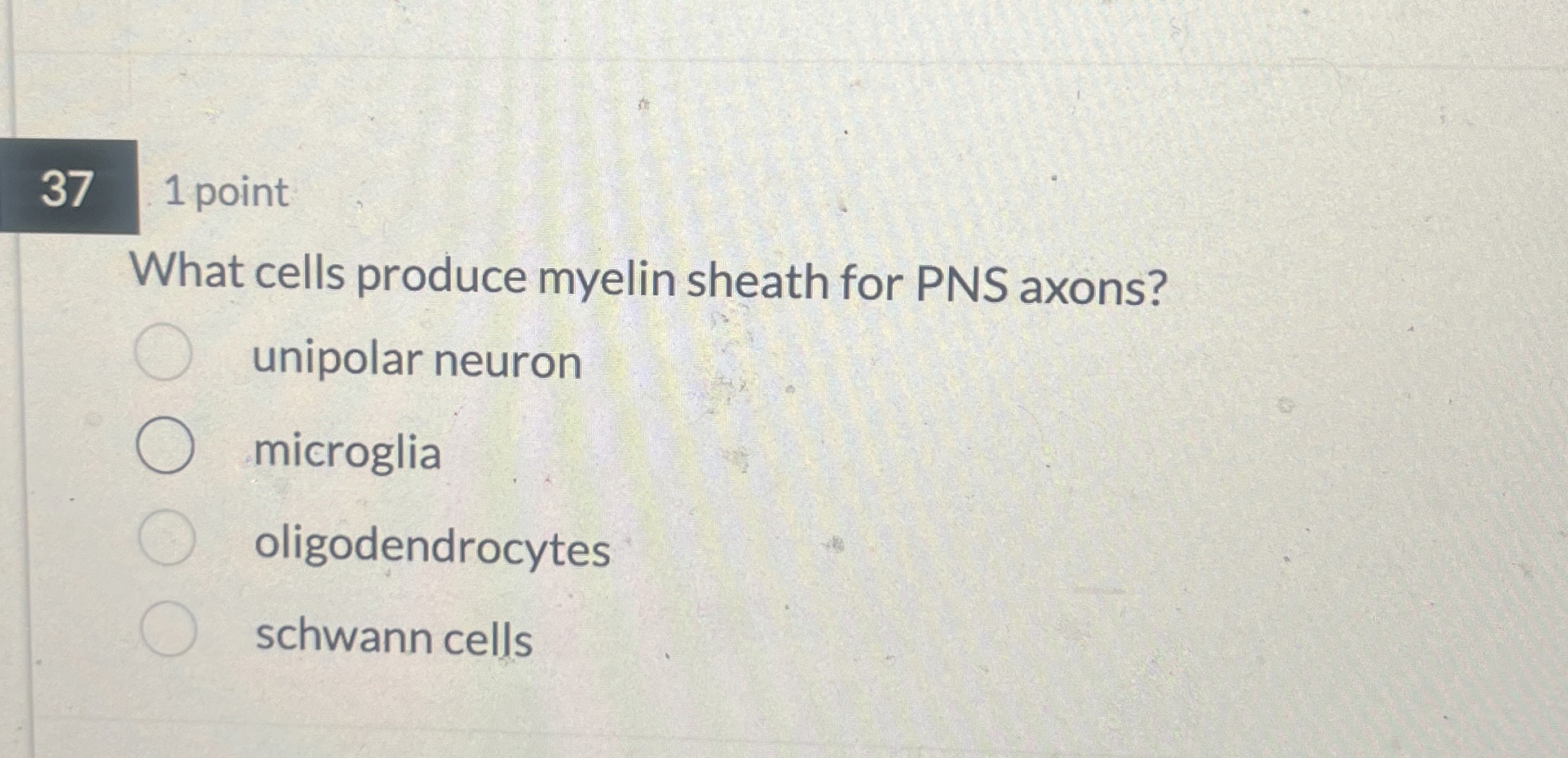 Solved 371 ﻿pointwhat Cells Produce Myelin Sheath For Pns
