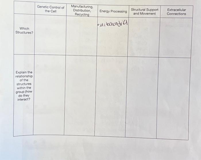 Solved Which Structures? Explain the relationship of the | Chegg.com