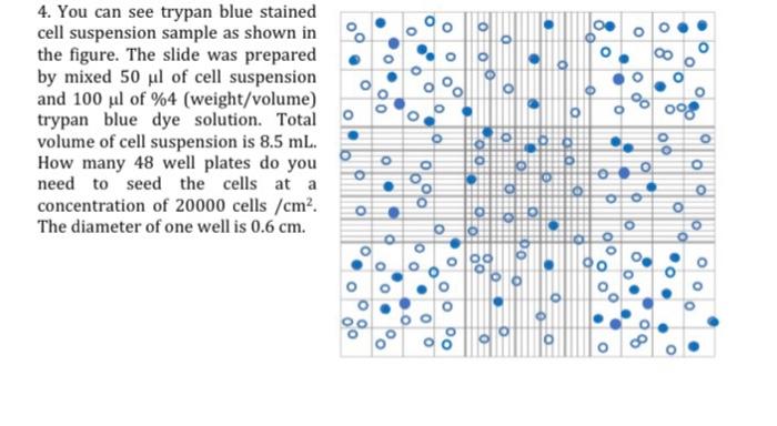 Solved 4. You can see trypan blue stained cell suspension | Chegg.com