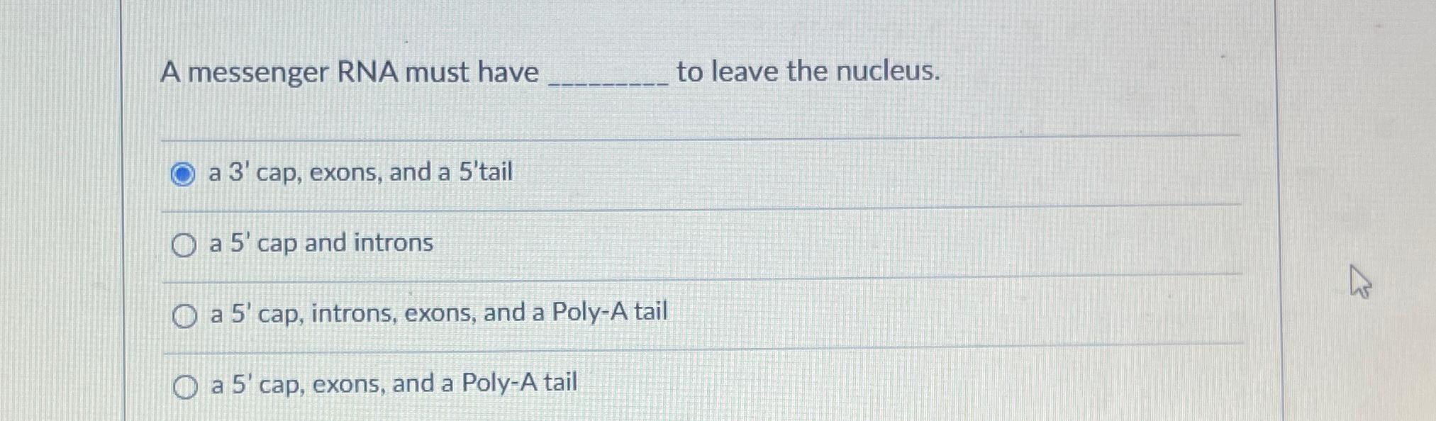 Solved A messenger RNA must have to leave the nucleus.a 3 ' | Chegg.com