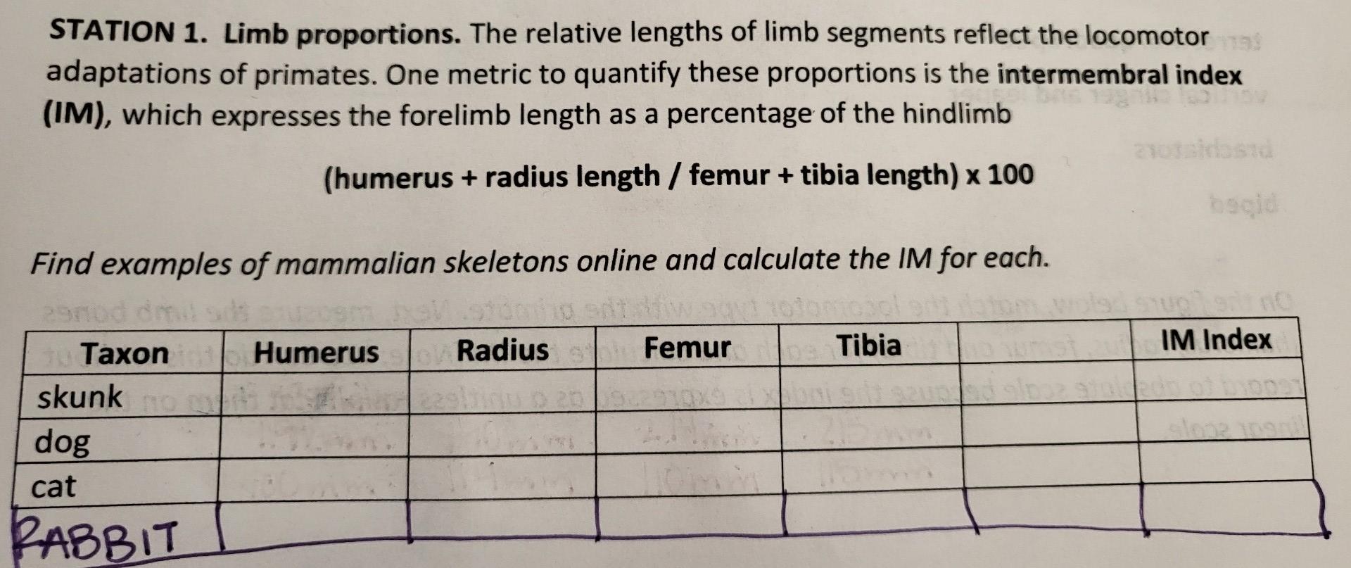 I need the length of the humerus, femur, radius, and | Chegg.com