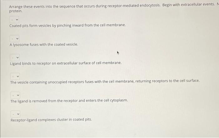 Solved Arrange these events into the sequence that occurs | Chegg.com