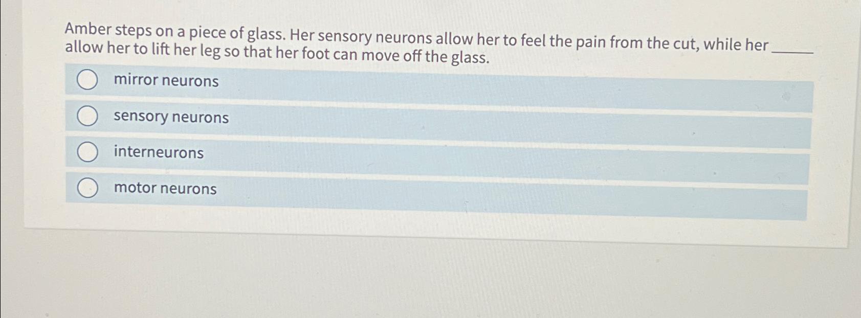 Solved Amber steps on a piece of glass. Her sensory neurons | Chegg.com