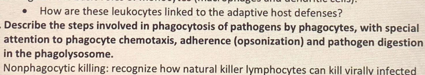 Solved Describe the steps involved in phagocytosis of | Chegg.com