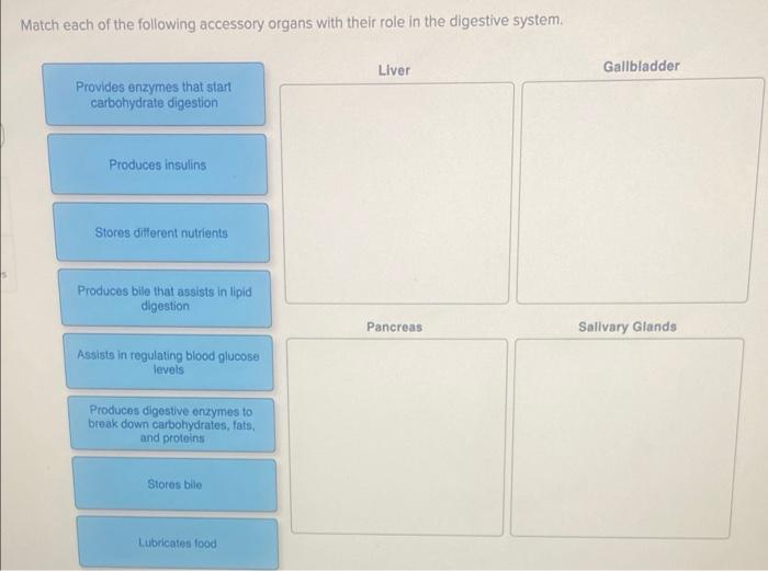 Solved Match each of the following accessory organs with | Chegg.com