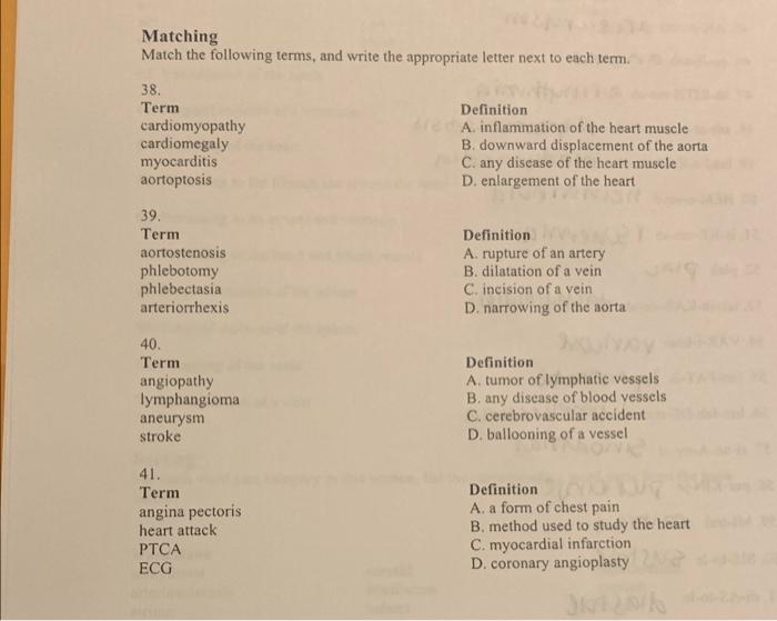 Solved Matching Match the following terms, and write the | Chegg.com