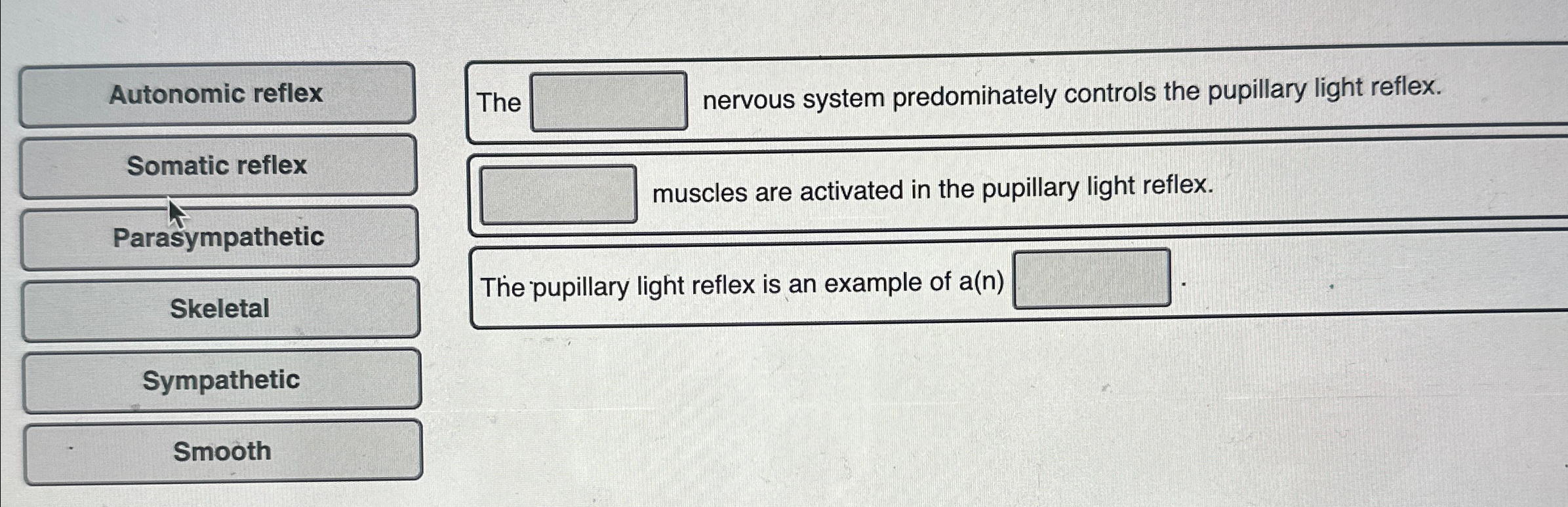 Solved Autonomic reflexSomatic | Chegg.com
