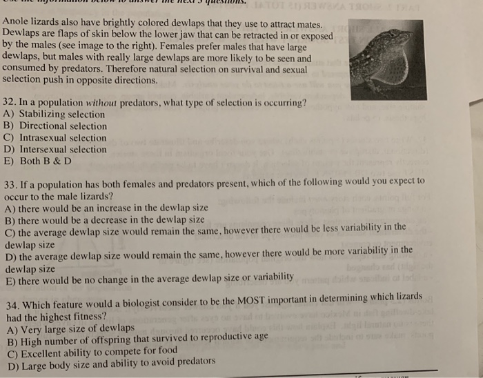 Solved D ULU 10 LEI JUWU MNE NEU J question. Anole lizards | Chegg.com