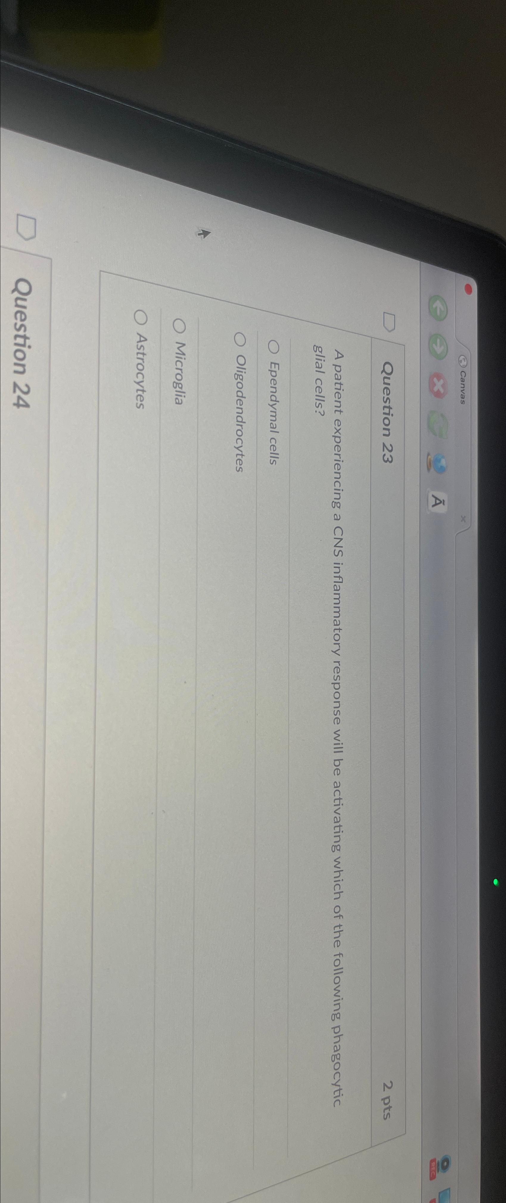 Solved Question 232 ﻿ptsA patient experiencing a CNS | Chegg.com