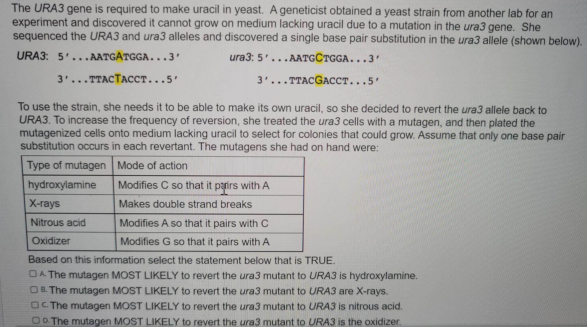 Solved The URA3 gene is required to make uracil in yeast. A | Chegg.com