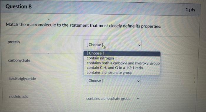 Solved Match the macromolecule to the statement that most | Chegg.com