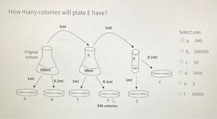 Solved How many colonies will plate E have? | Chegg.com