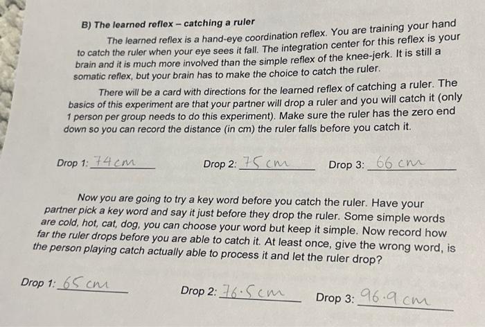 Solved B) The learned reflex - catching a ruler The learned | Chegg.com