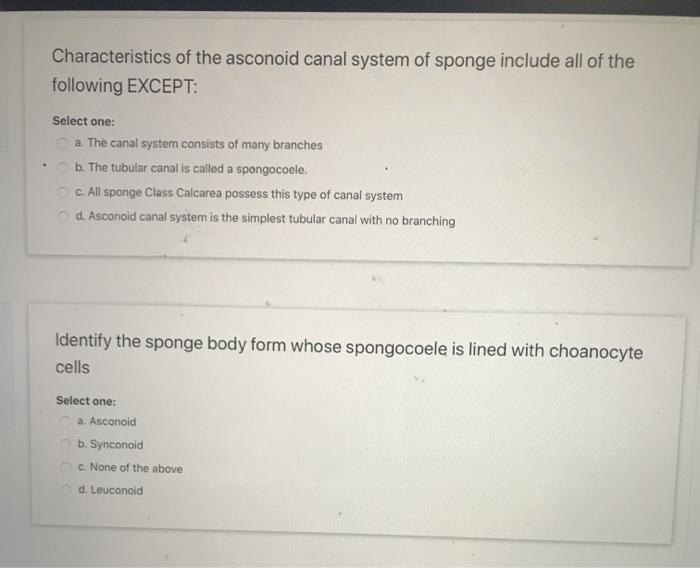 Solved Characteristics of the asconoid canal system of | Chegg.com