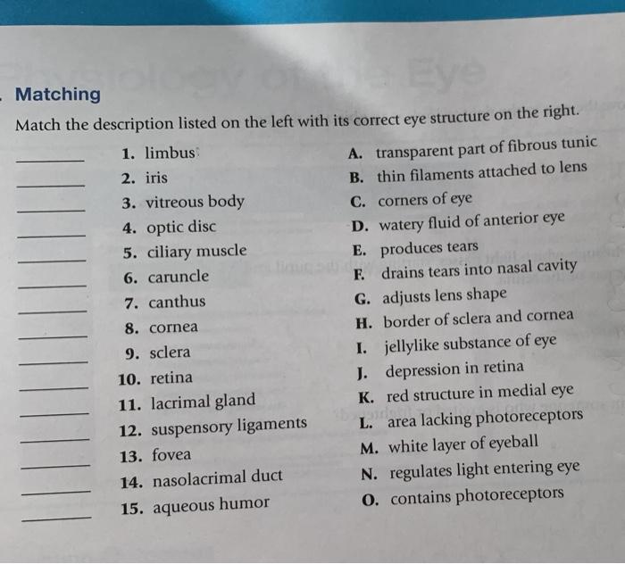 Solved - Matching Match the description listed on the left | Chegg.com