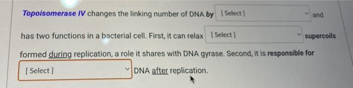 Solved Topoisomerase IV changes the linking number of DNA by | Chegg.com