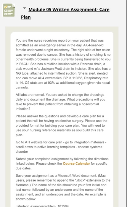 Solved 00 Module 05 Written Assignment- Care Plan You are | Chegg.com