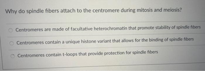 Solved Why do spindle fibers attach to the centromere during | Chegg.com
