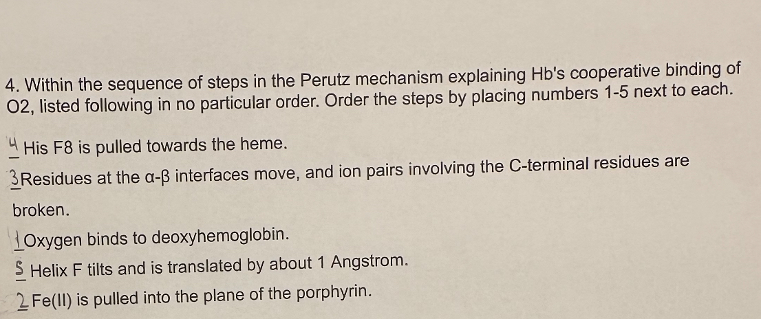 Solved Within the sequence of steps in the Perutz mechanism | Chegg.com