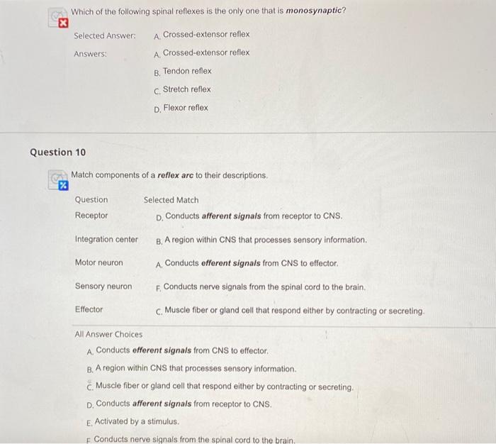 Solved Which of the following spinal reflexes is the only | Chegg.com