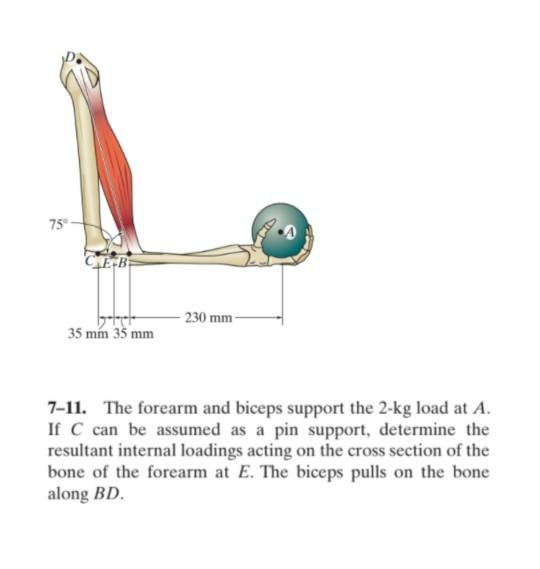 Solved 75 CE-B 230 mm 35 mm 35 mm 7-11. The forearm and | Chegg.com