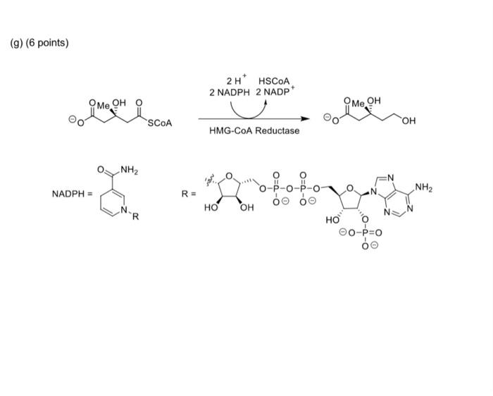 Solved (9) (6 points) 2H* HSCOA 2 NADPH 2 NADP" Оме. Он еме | Chegg.com