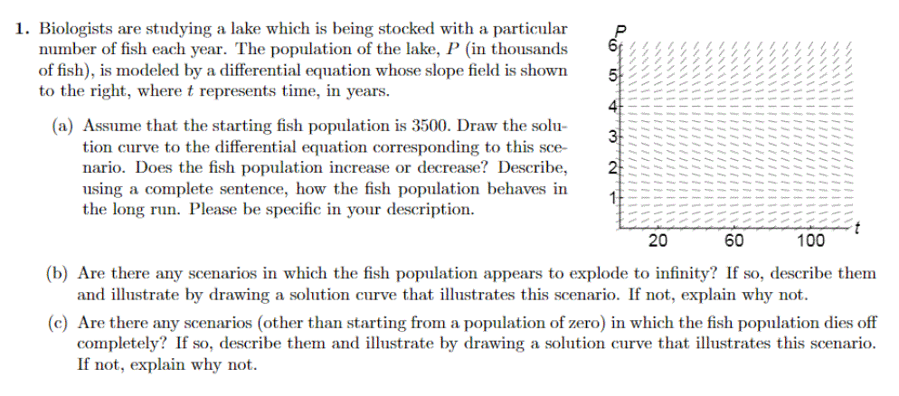 Solved Can you explain the steps aslo.. | Chegg.com
