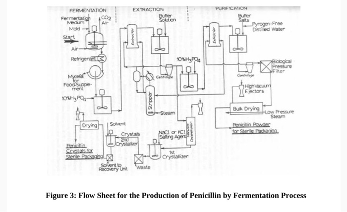 Solved a) Describe the flow sheet for the production of | Chegg.com