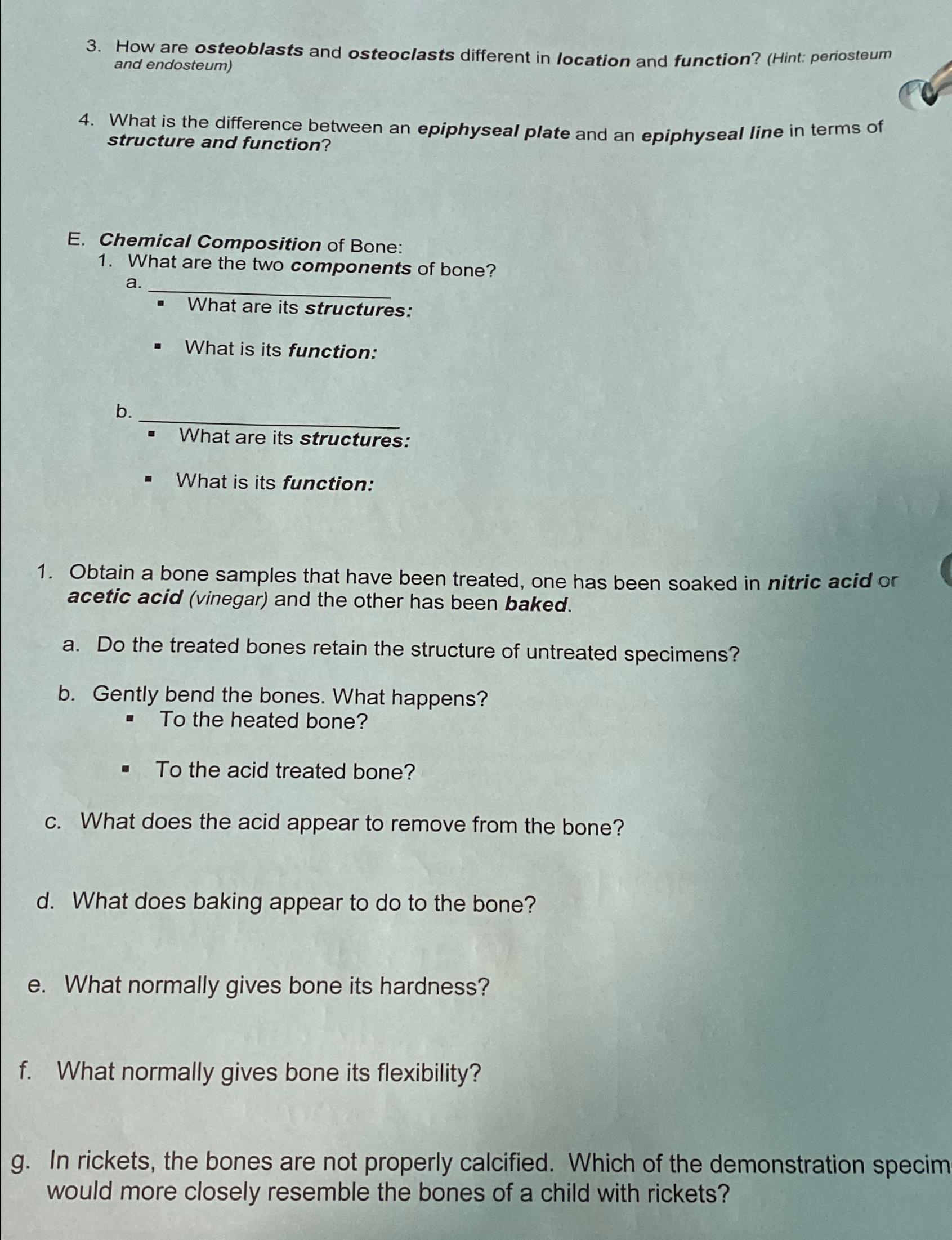 Solved How are osteoblasts and osteoclasts different in | Chegg.com